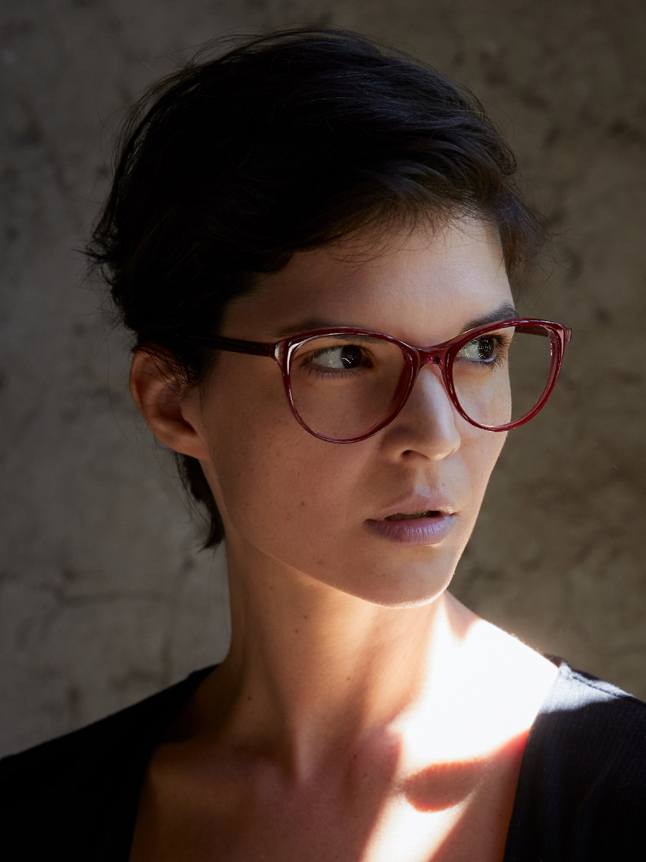 Classify Swiss model Patricia Schmid